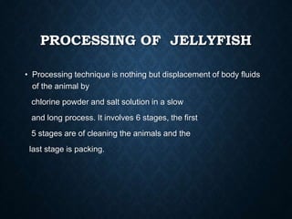 Fish maws, isinglass etc.pptx