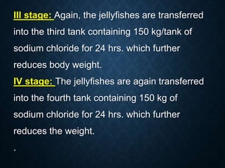 Fish maws, isinglass etc.pptx