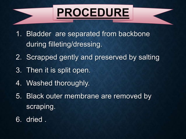 Fish maws, isinglass etc.pptx