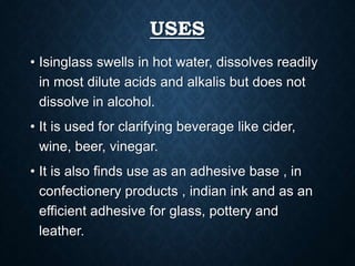 Fish maws, isinglass etc.pptx