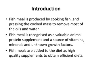 Fish meal | PPTX