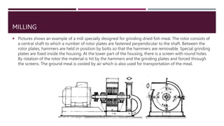 fish meal plant design and maintenance for all | PPTX