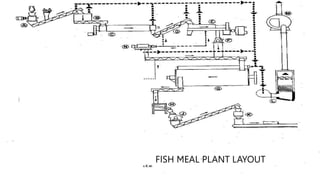 fish meal plant design and maintenance for all | PPTX