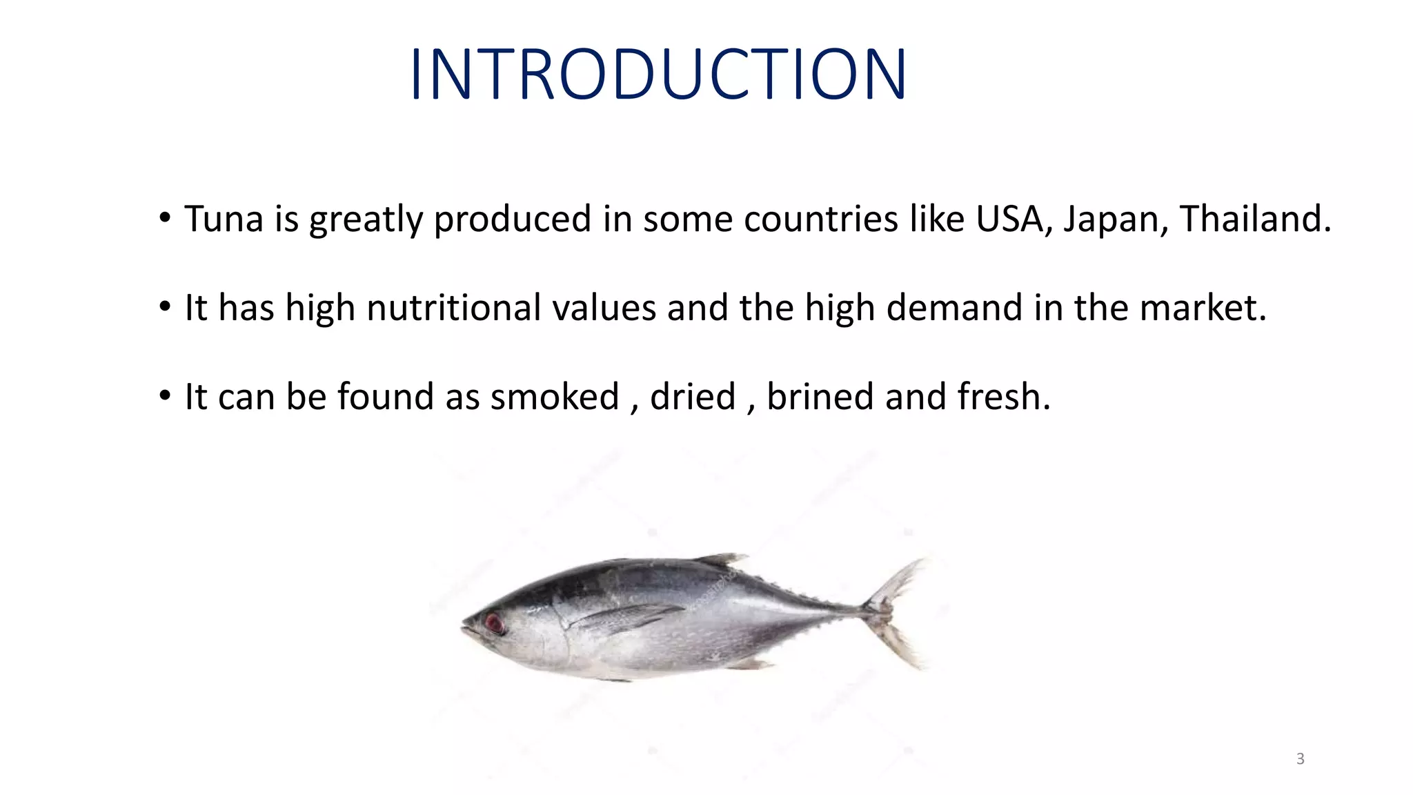 Fish meat of tuna | PPTX
