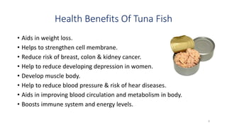 Fish meat of tuna | PPTX