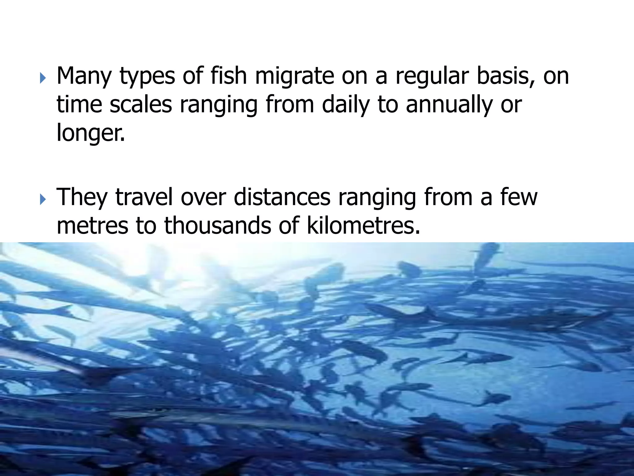 Fish migration | PPTX