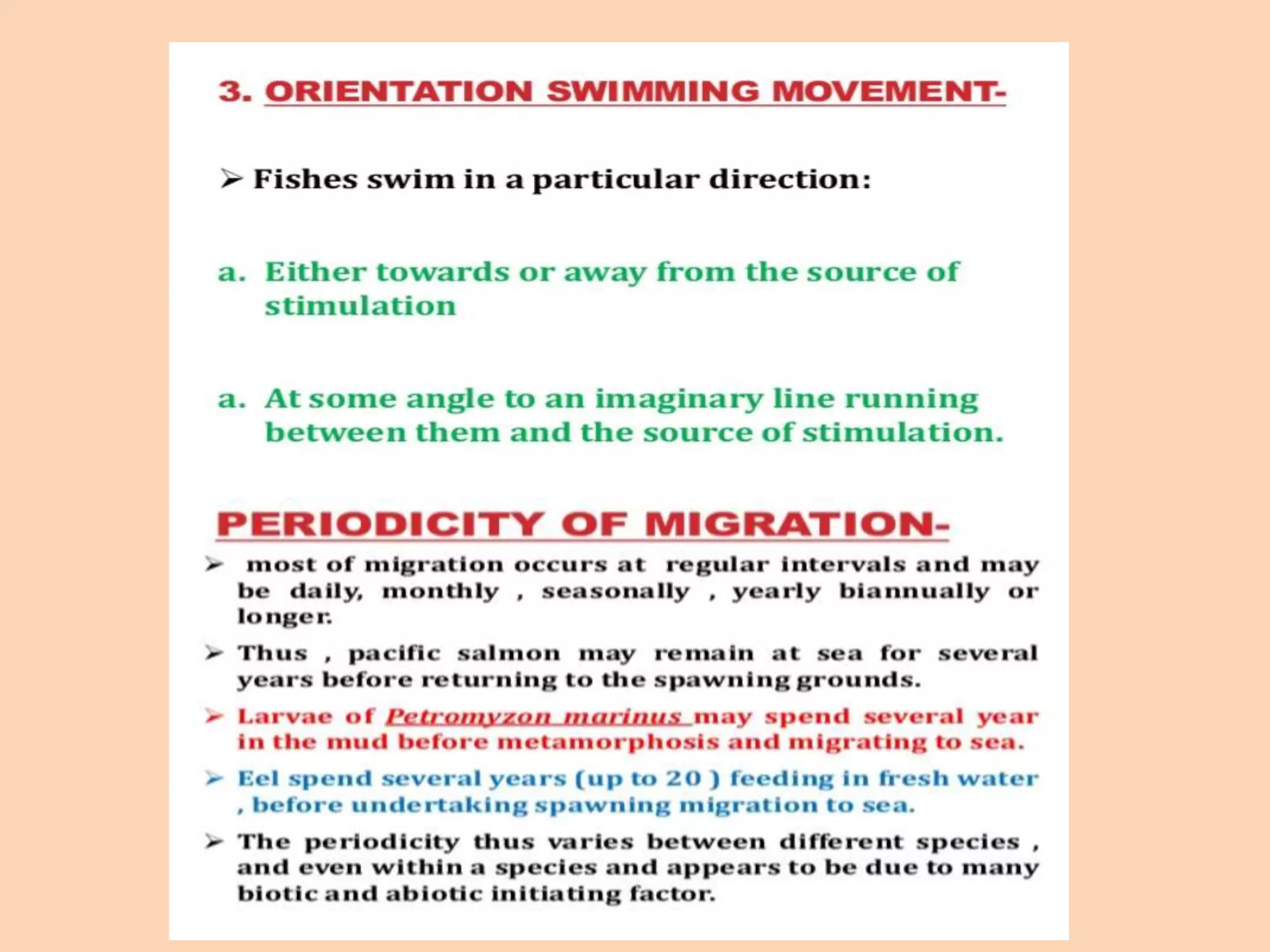 Fish migration | PPT
