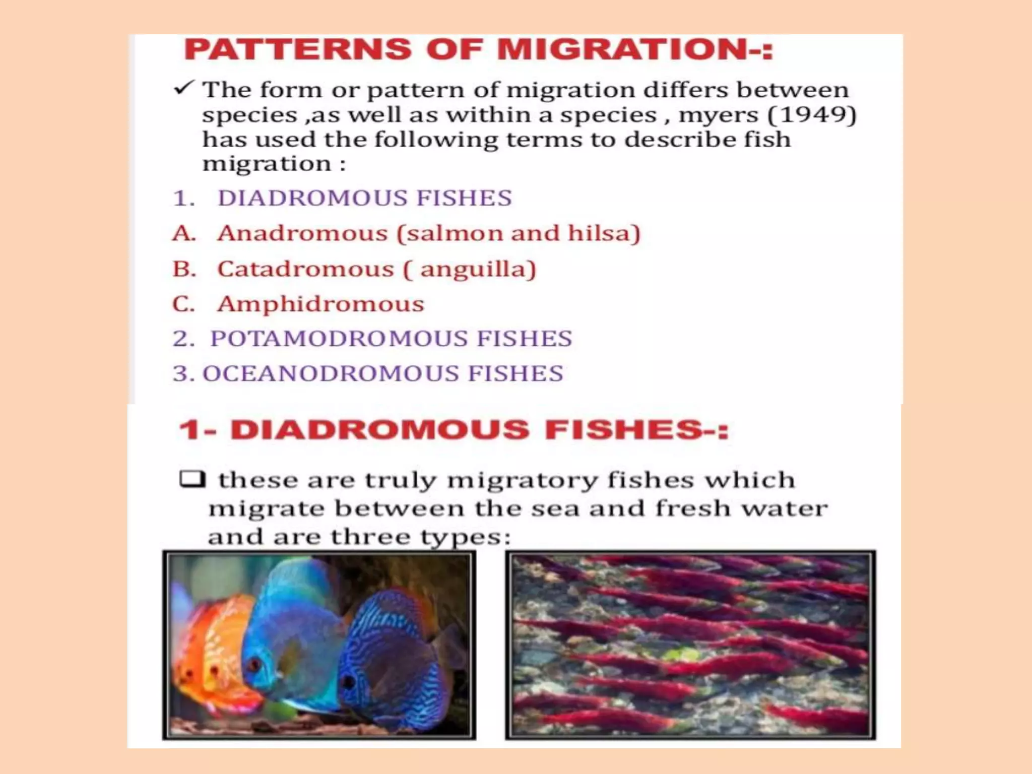 Fish migration | PPT