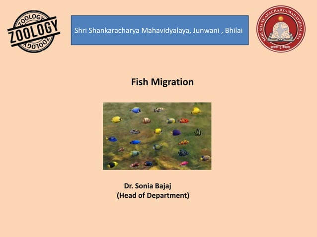 Fish migration | PPT