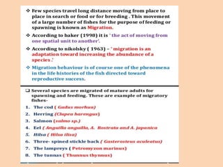 Fish migration | PPT