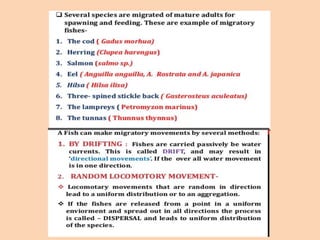 Fish migration | PPT
