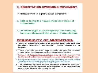 Fish migration | PPT
