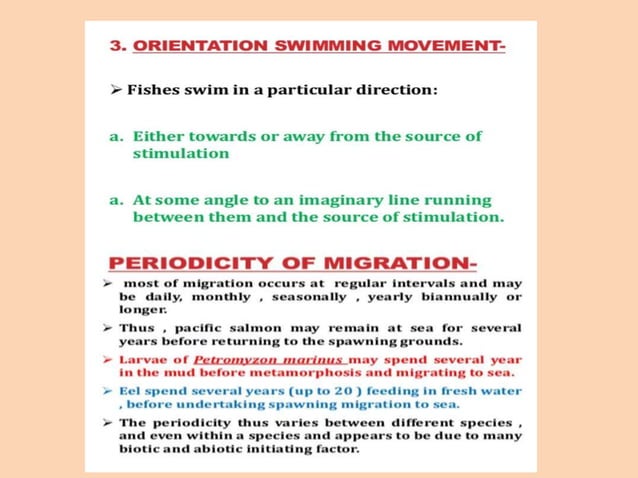Fish migration | PPT