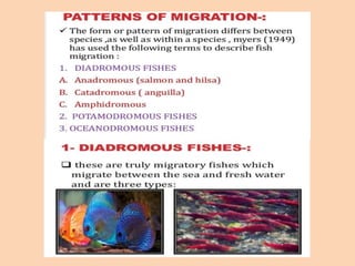 Fish migration | PPT