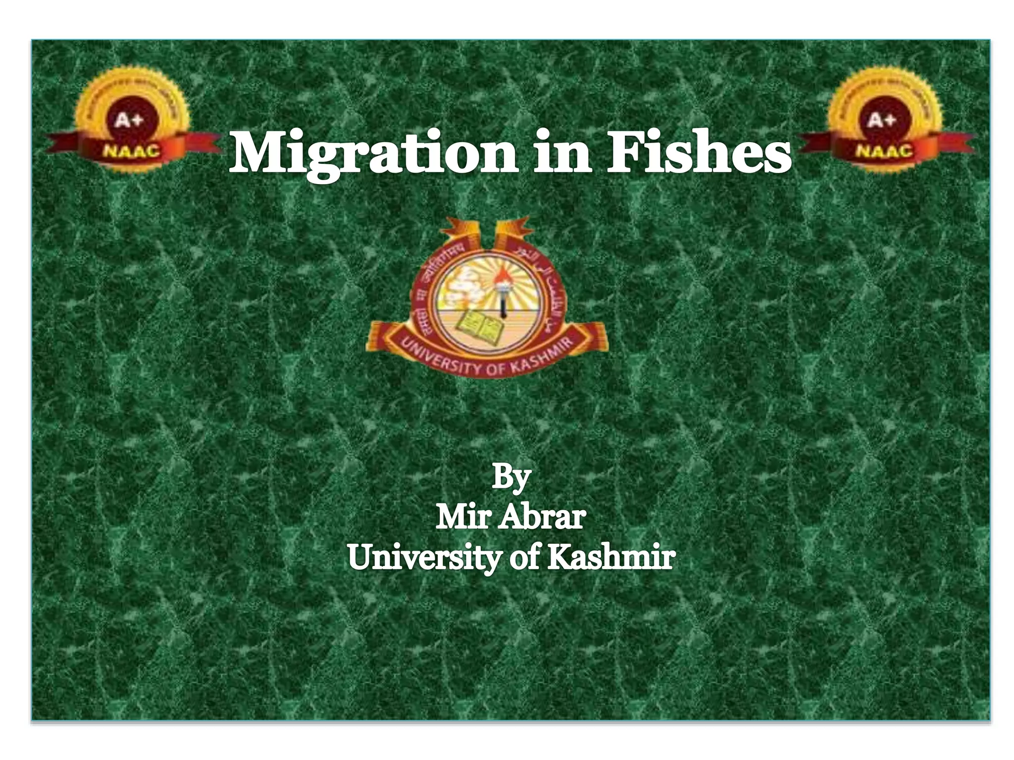 Fish Migration | PPTX