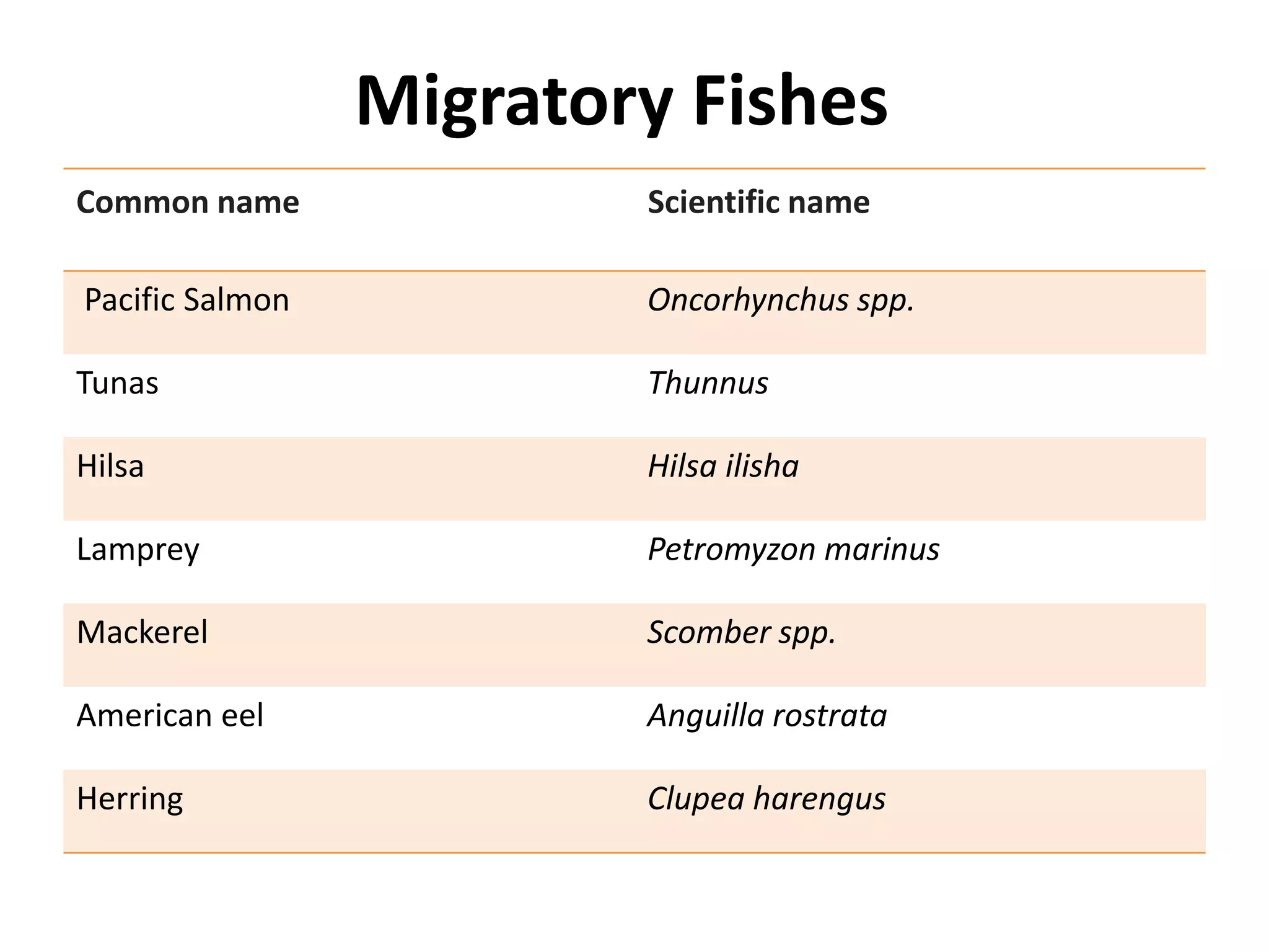 Fish Migration | PPTX