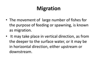 Fish Migration | PPTX
