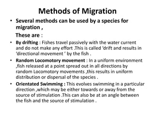 Fish Migration | PPTX