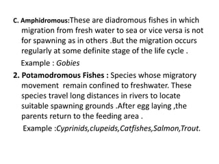 Fish Migration | PPTX