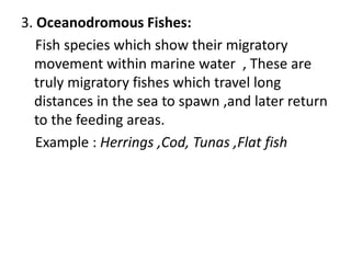 Fish Migration | PPTX