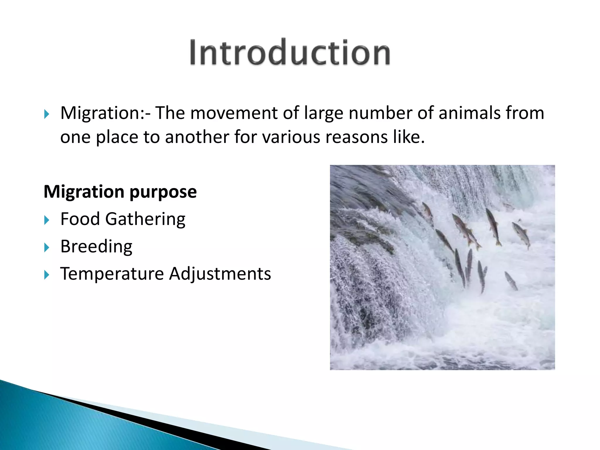 Fish migration and different types of fish passes | PPTX