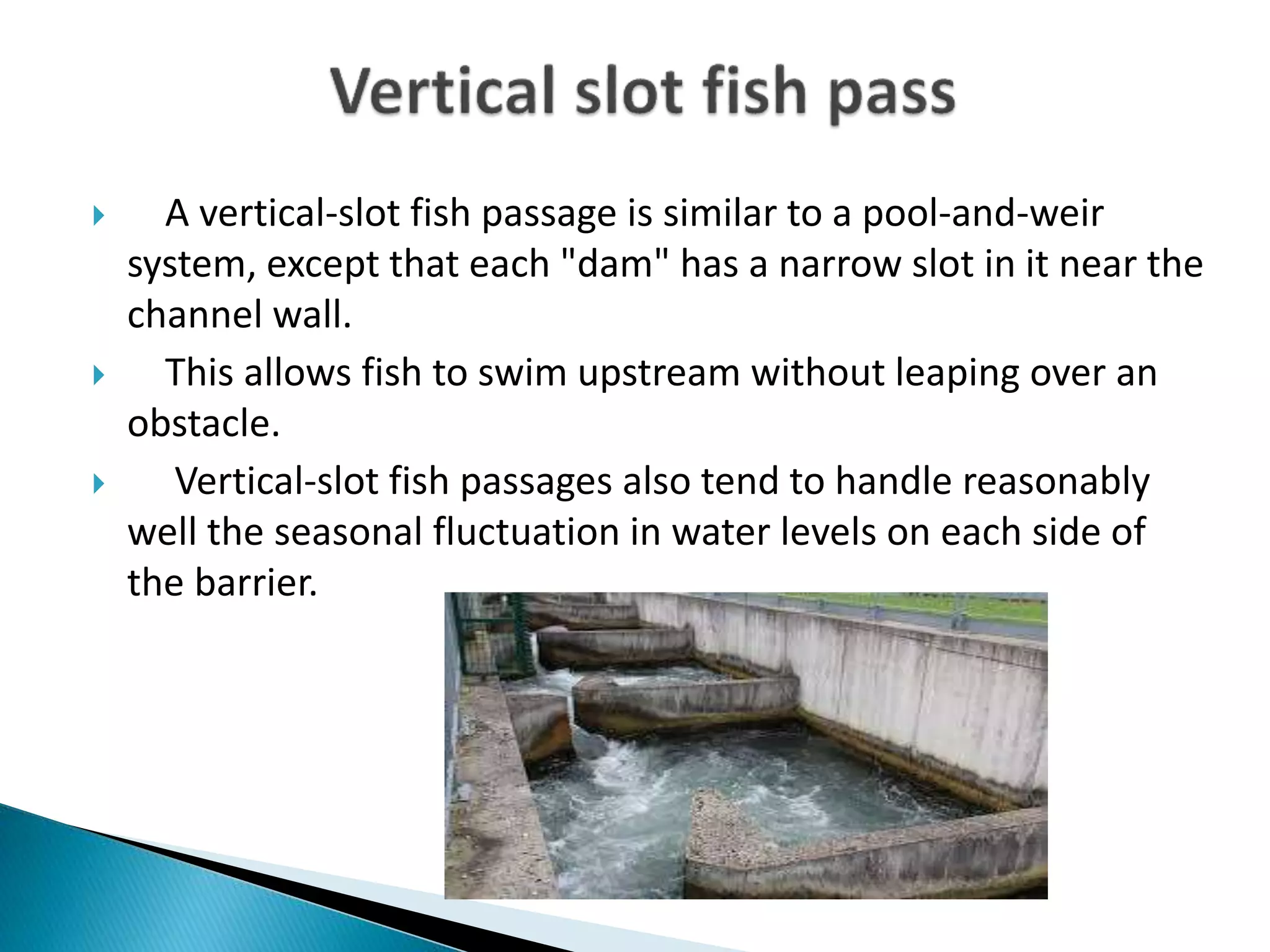 Fish migration and different types of fish passes | PPTX