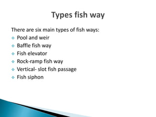 Fish migration and different types of fish passes | PPTX