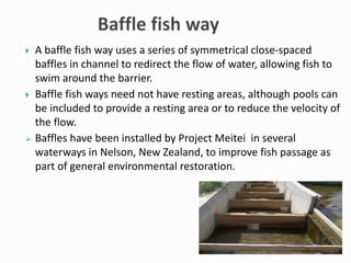 Fish migration and different types of fish passes | PPTX