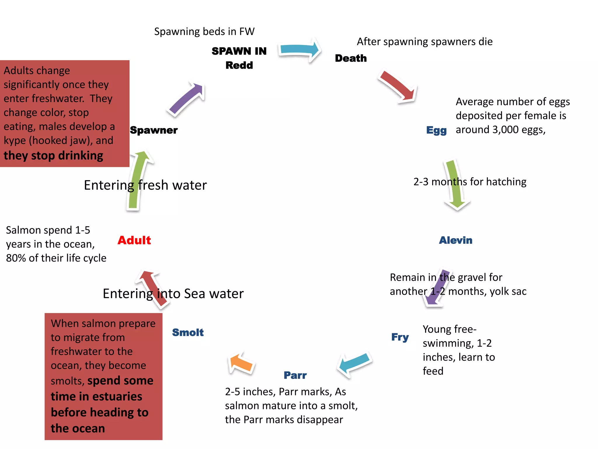 Fish migration and fish passes | PPTX