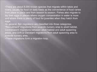 Fish migration and its physiology reasons. | PPT