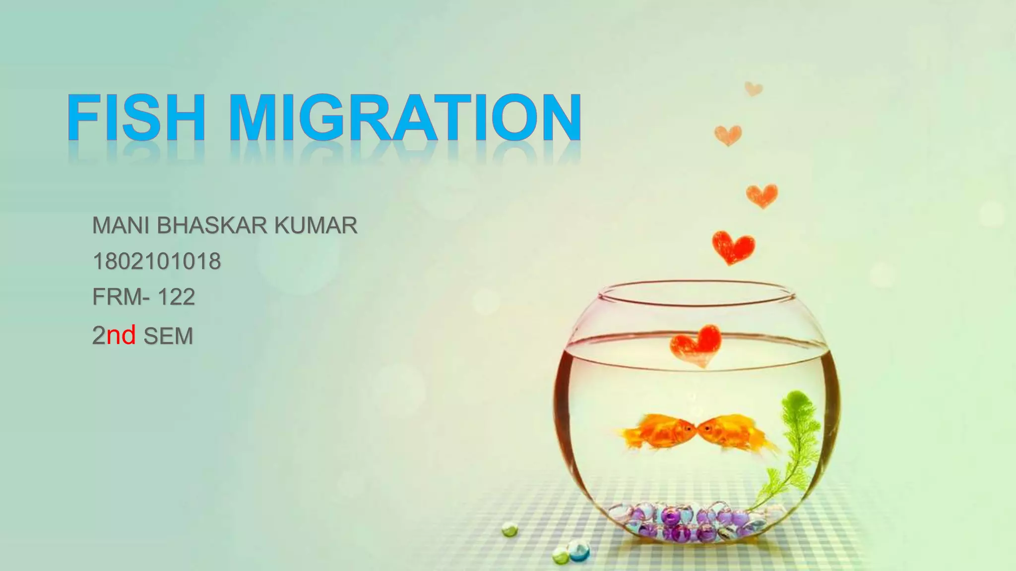 Fish migration | PPTX