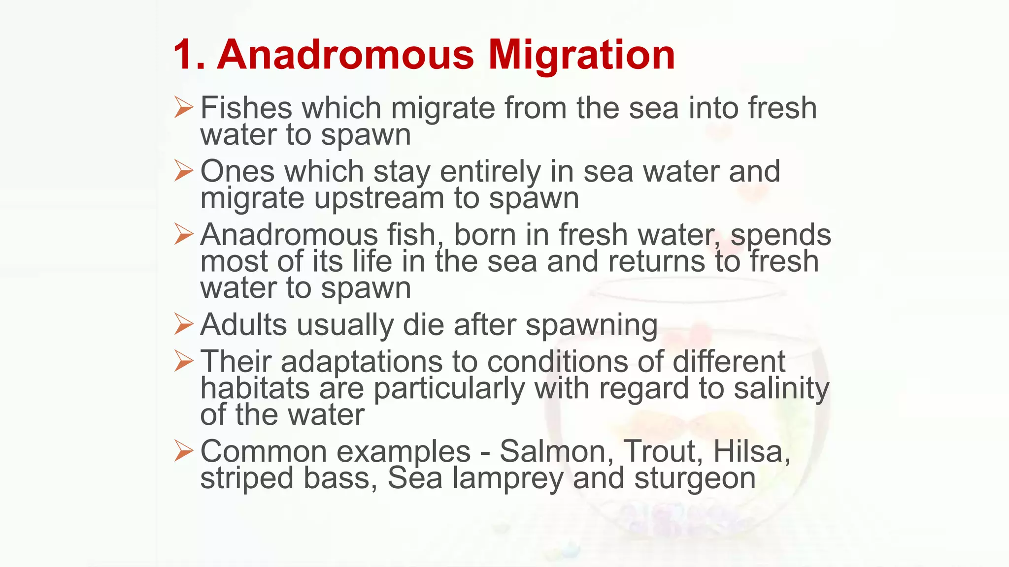 Fish migration | PPT