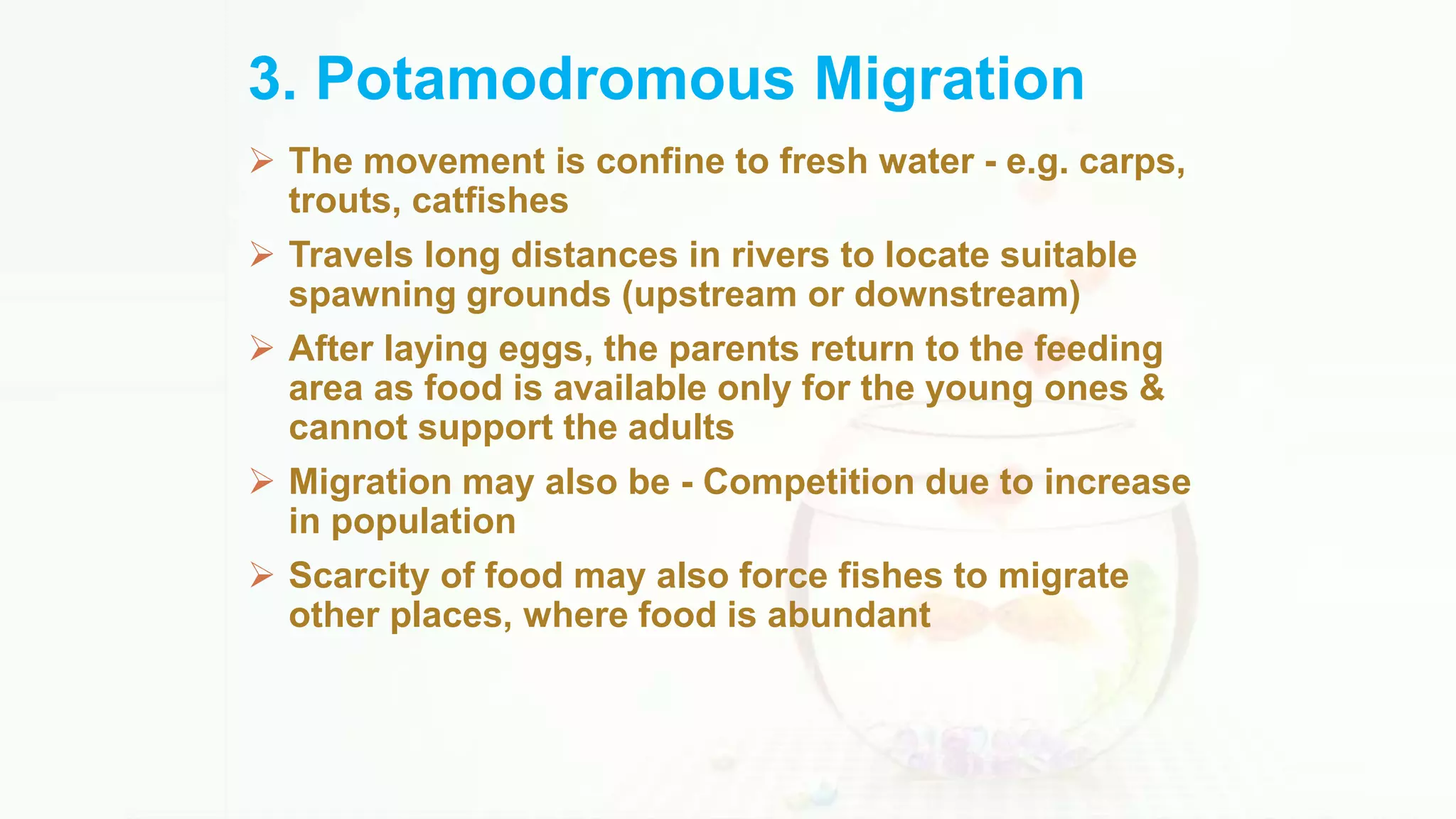 Fish migration | PPT