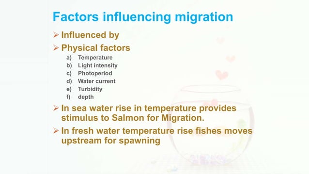 Fish migration | PPT