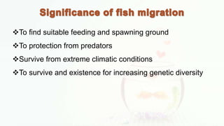 Fish migration | PPTX