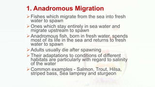Fish migration | PPTX
