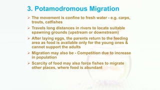 Fish migration | PPTX
