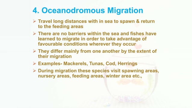 Fish migration | PPT