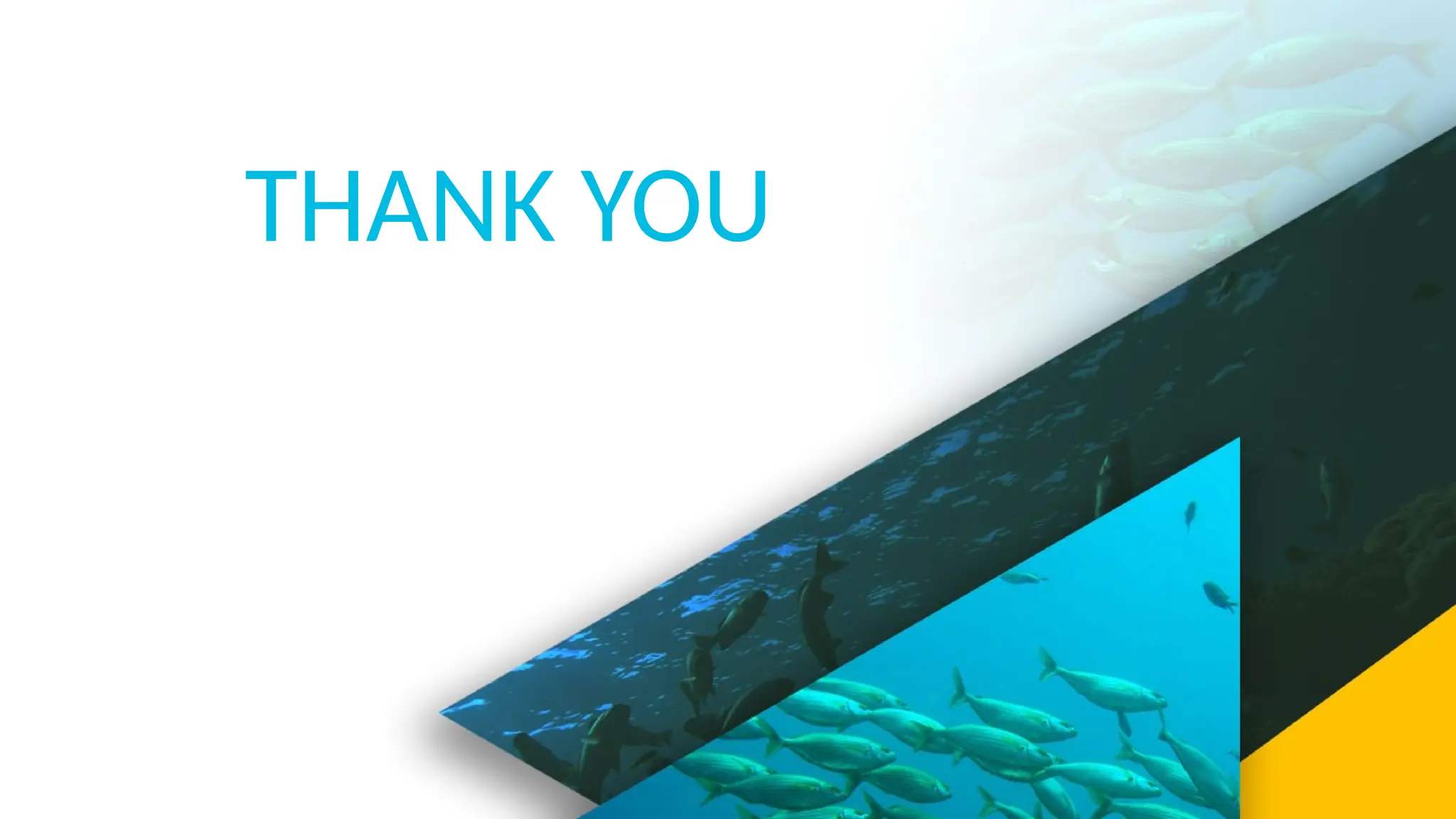 Fish Migration (Patterns, Species, Methods)pptx | PPT