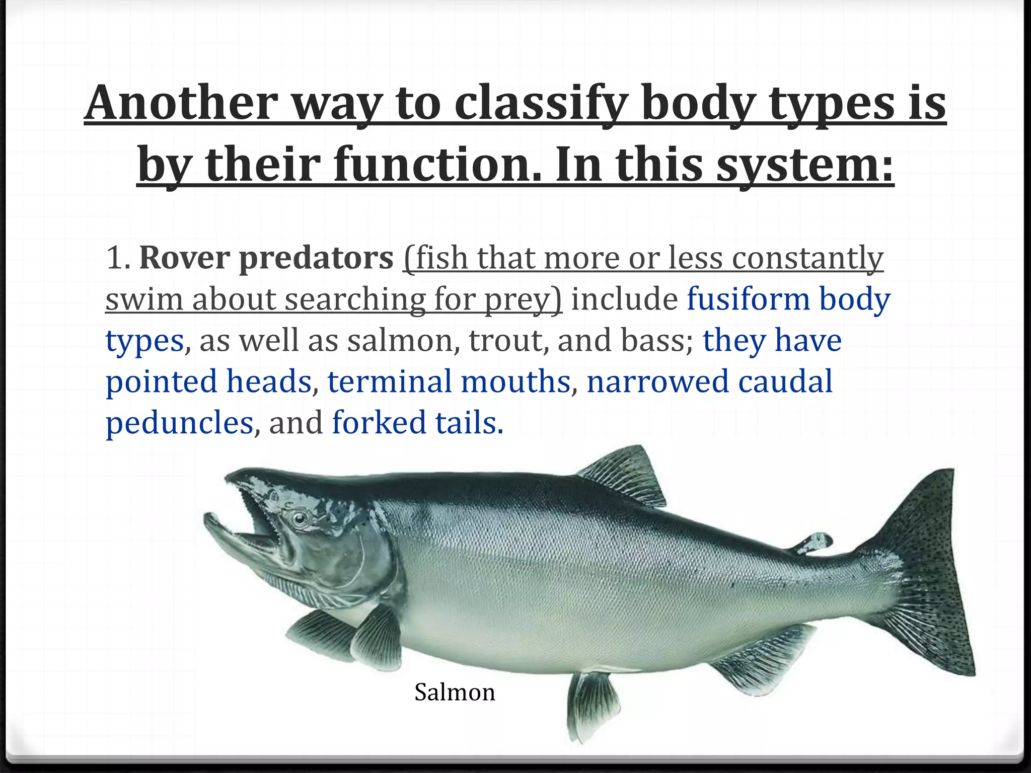 Fish Morphology.pptx