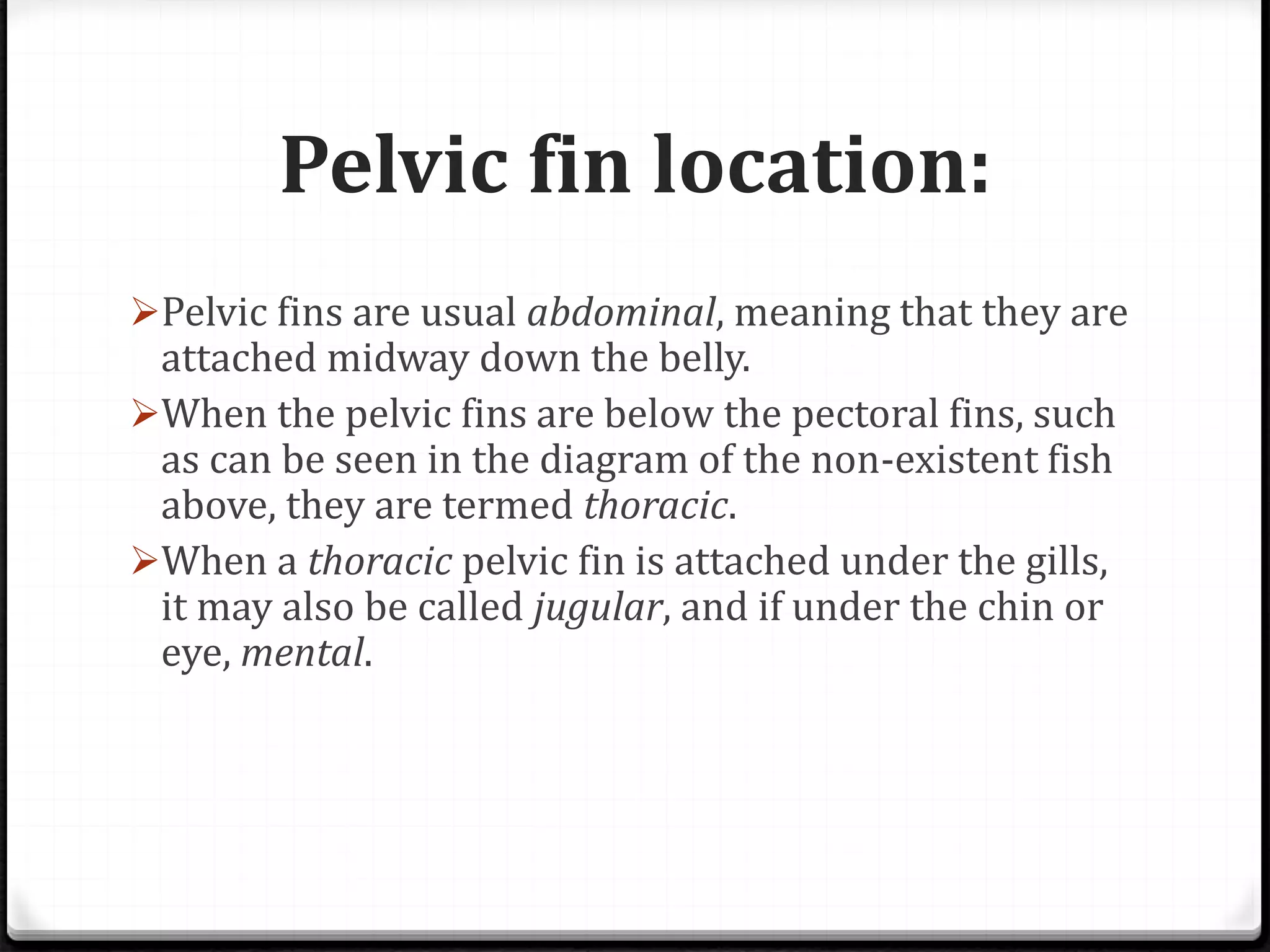 Fish Morphology.pptx