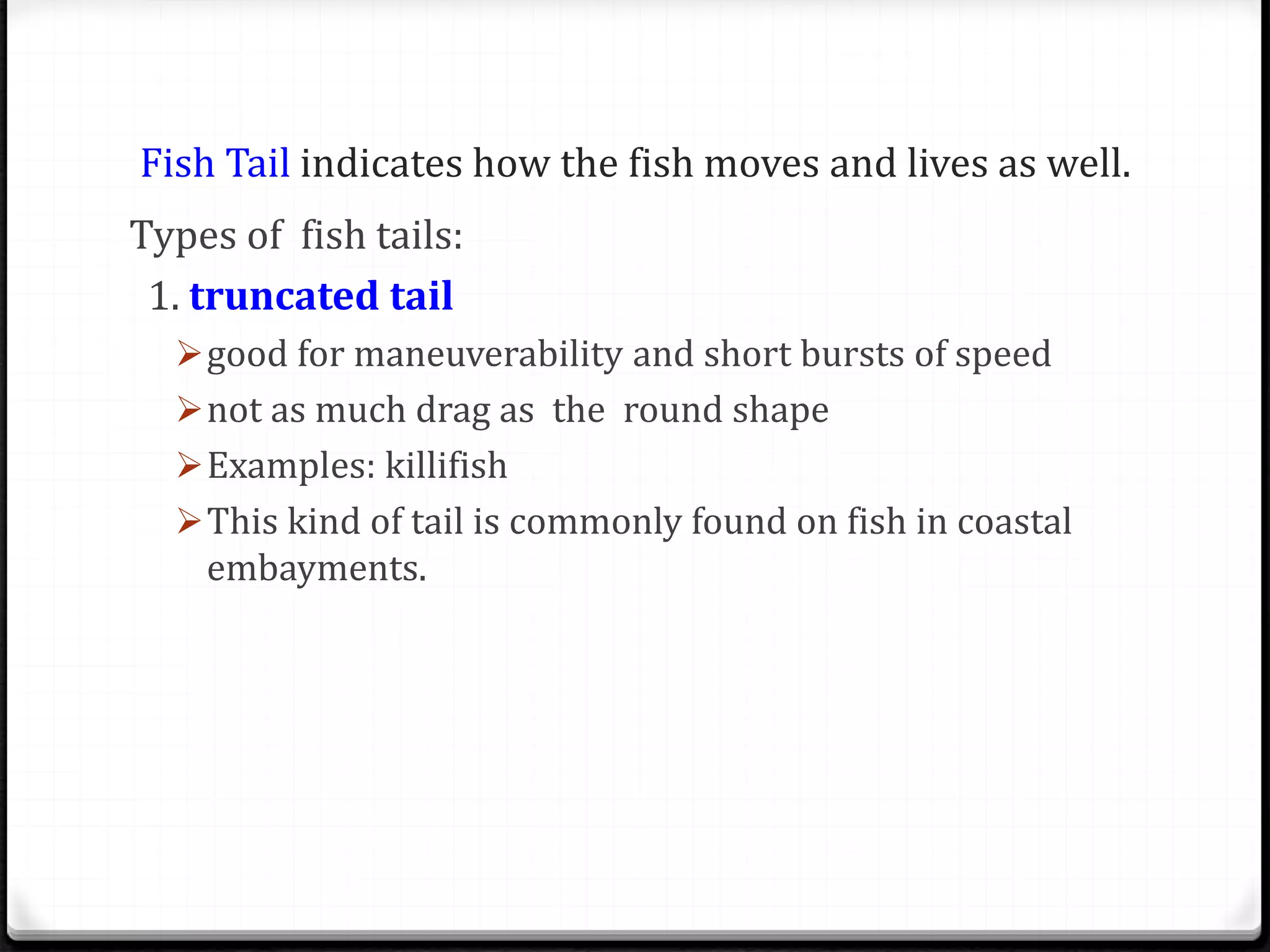 Fish Morphology.pptx