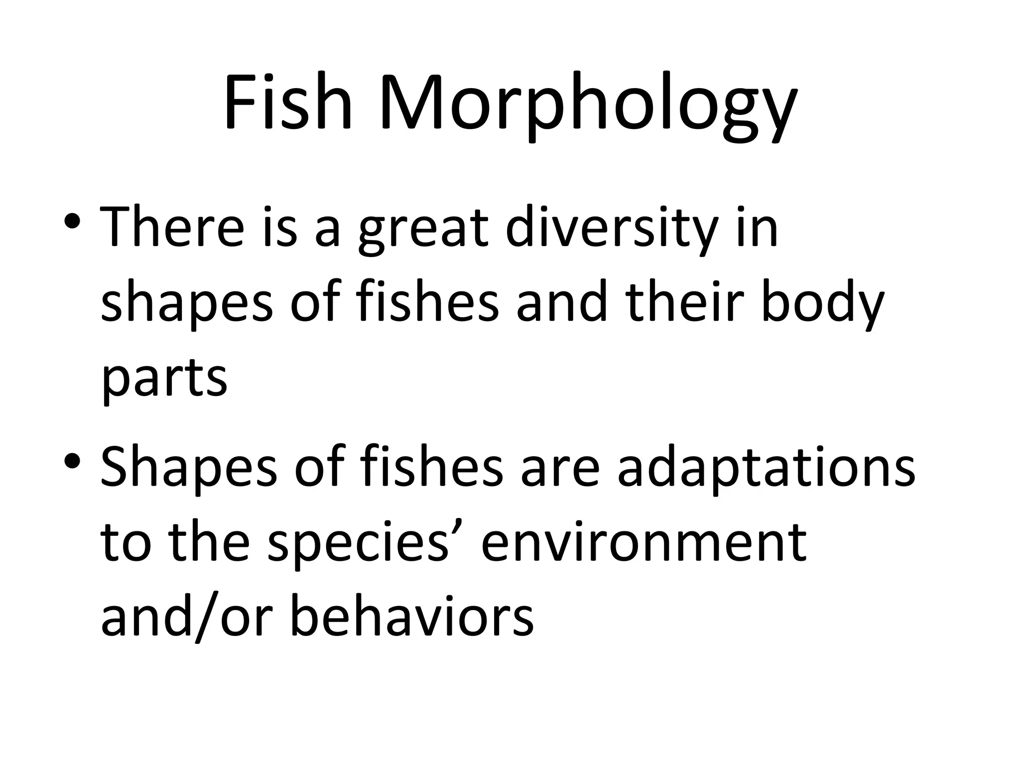 Fish Morphology | PPT