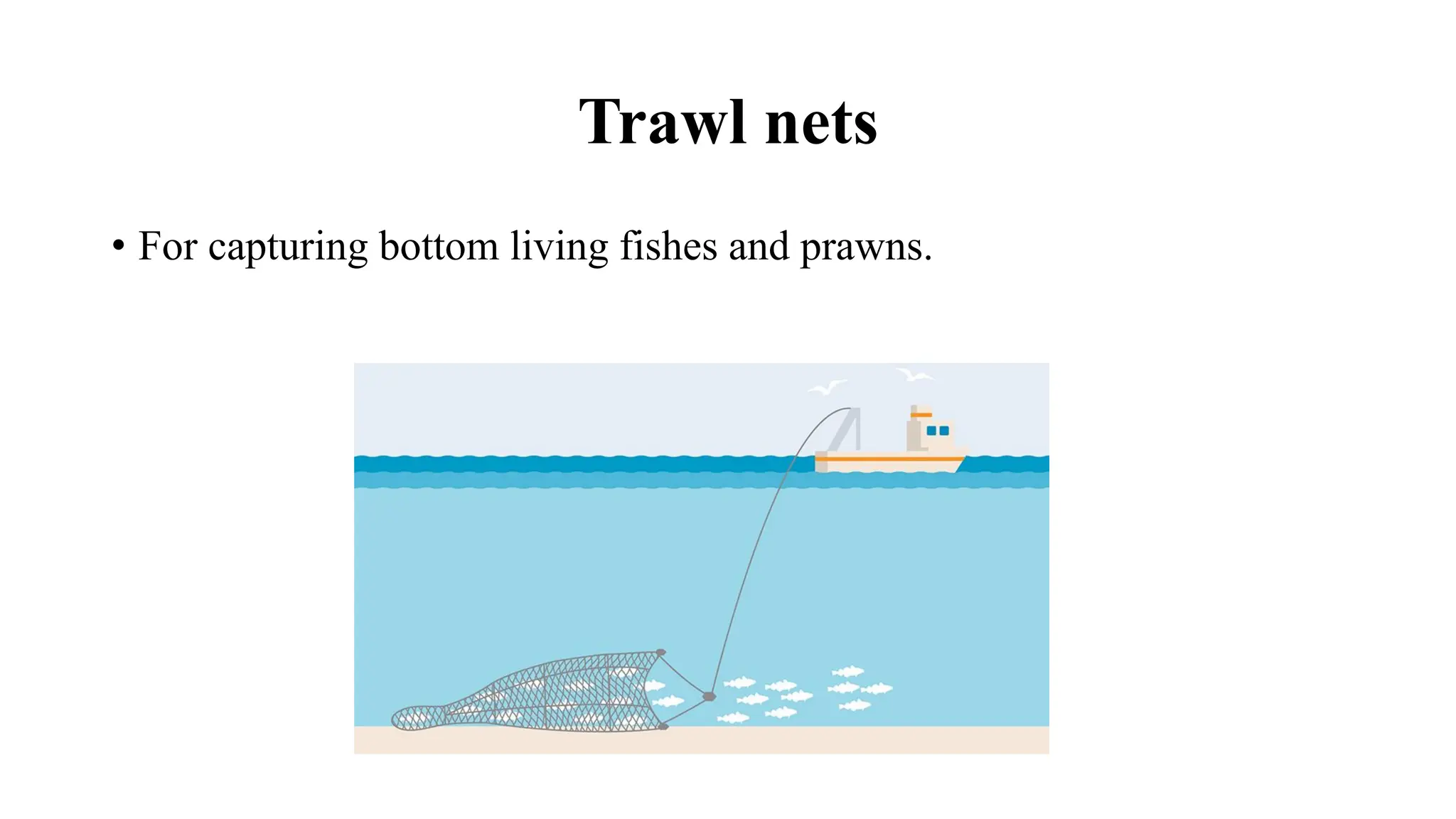Fish net and its uses by Assistant Prof. Boby Basnet | PDF