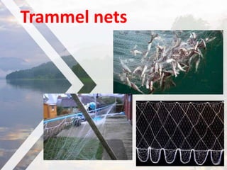 FishNet | PPTX