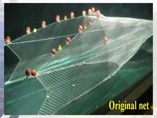 FishNet | PPTX