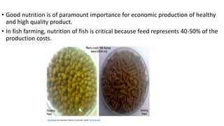 Fishnutrition | PPTX