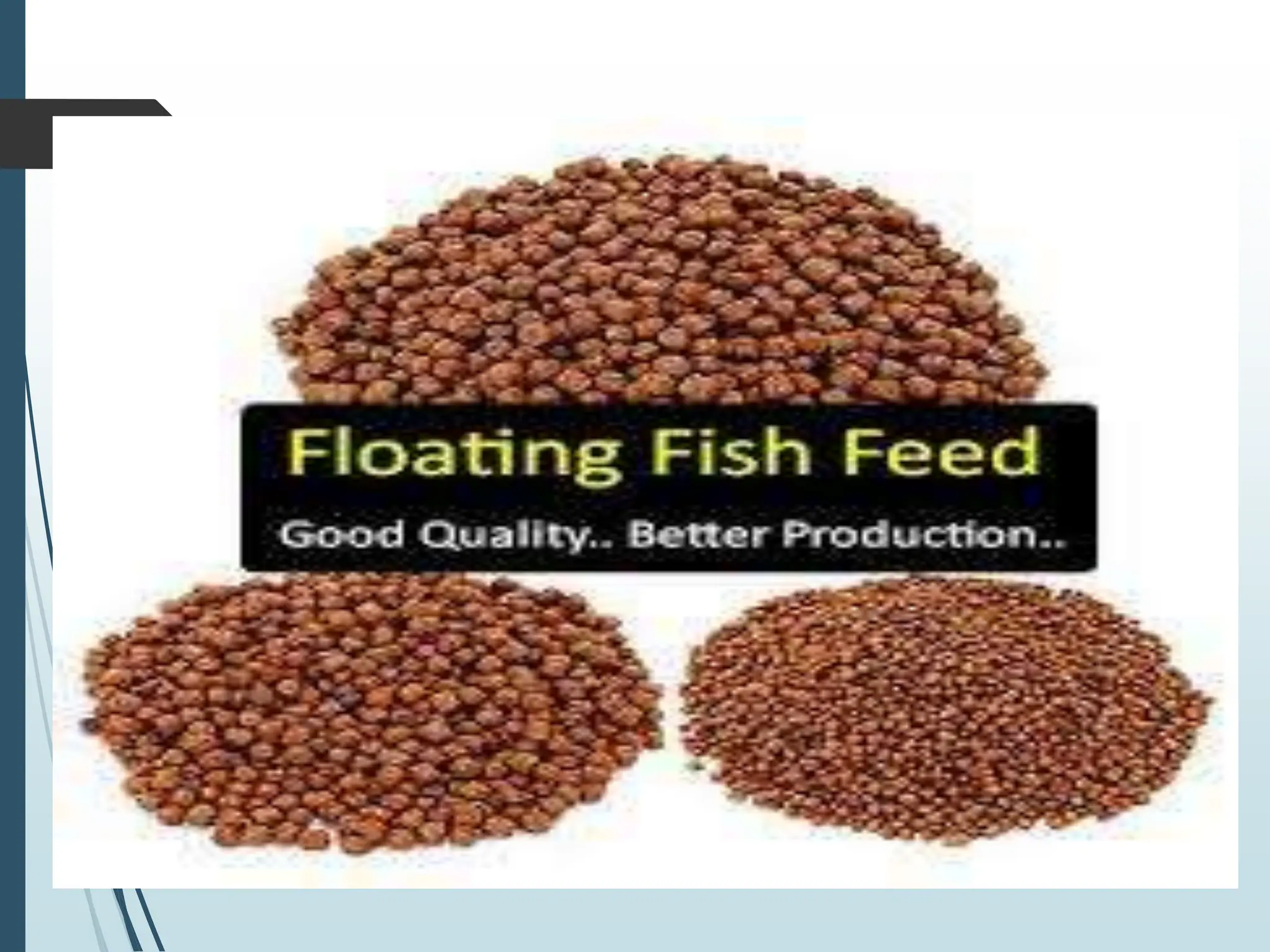 Fish nutrition, Fish feed ingredients and diseases.pptx