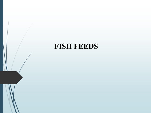 Fish nutrition, Fish feed ingredients and diseases.pptx | Pet Supplies | Pets