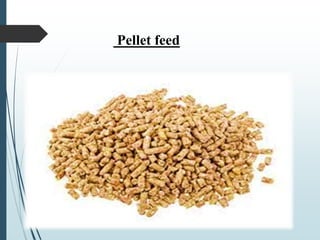 Fish nutrition, Fish feed ingredients and diseases.pptx